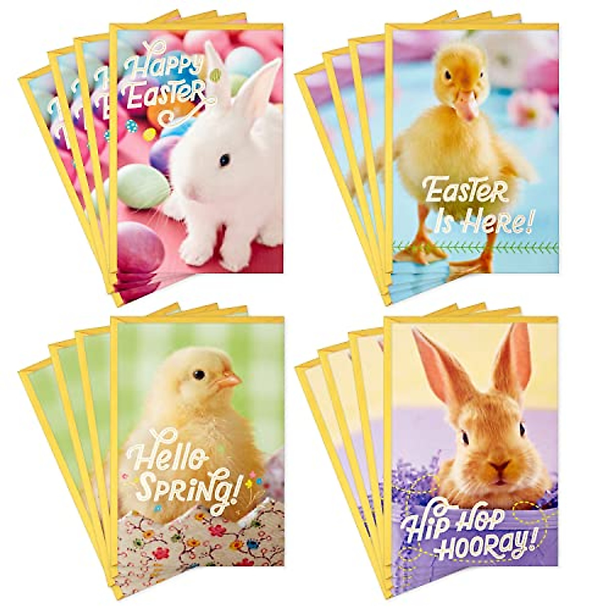 Hallmark Easter Cards Assortment, Bunnies and Chicks (16 Cards with Envelopes)