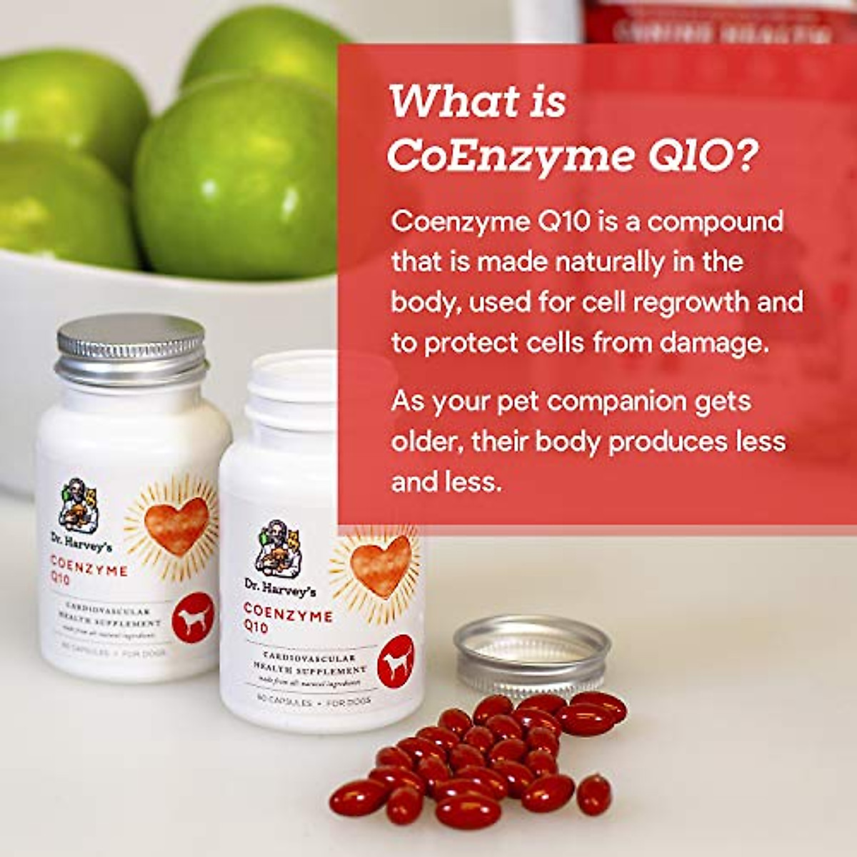 Dr. Harvey's Coenzyme Q10 - Heart & Cardiovascular Support Supplements for Dogs, 60 Capsules