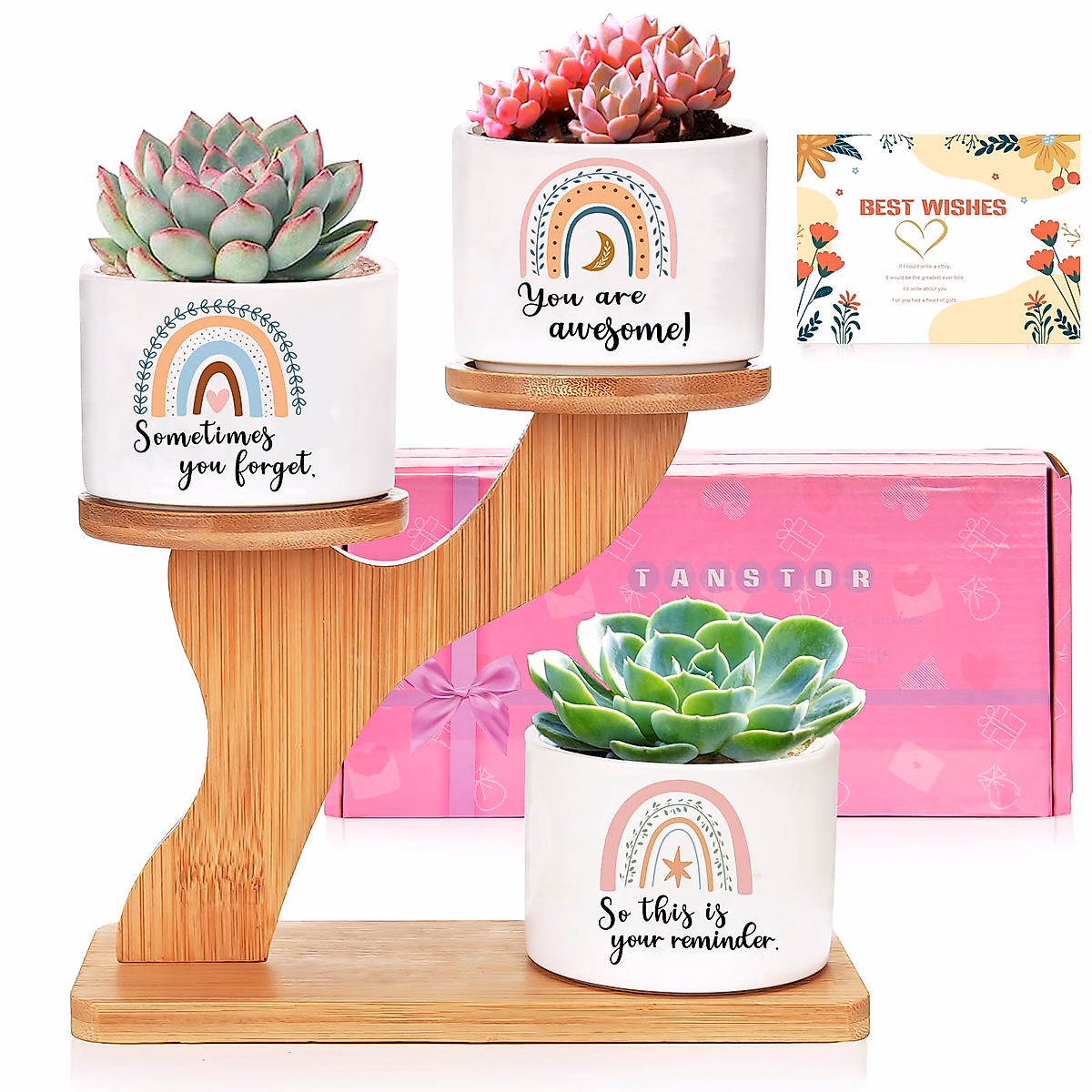 Tanstor Gifts for Women, 3PCS Succulent Pots with Stand Holder, Anniversary Birthday Women Gift for Her, Best Friend Sister Colleague Garden Gifts