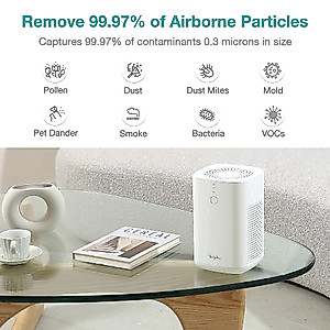 Combo Pack of RedyPure JR6 Desktop Air Purifier and Replacement Filters, H13 True HEPA, and Activated Carbon Air Filters