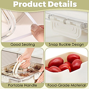 Snackle Box Container, Divided Serving Tray with Lid and Handle, Dishwasher Safe Fruit Storage Containers, Candy and Nuts Organizer, Snackle Charcuterie Boxes for Travel, Party and Picnic, Clear