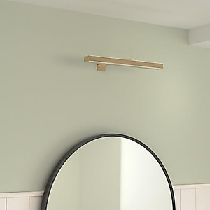 MIOBLUE Wireless Picture Lights with Remote, Recgargeable Battery Painting Light Display Lamp with 3 Lighting Modes, Dimmable Dartboard Light with Timer for Frame Portrait Art, Metal Body