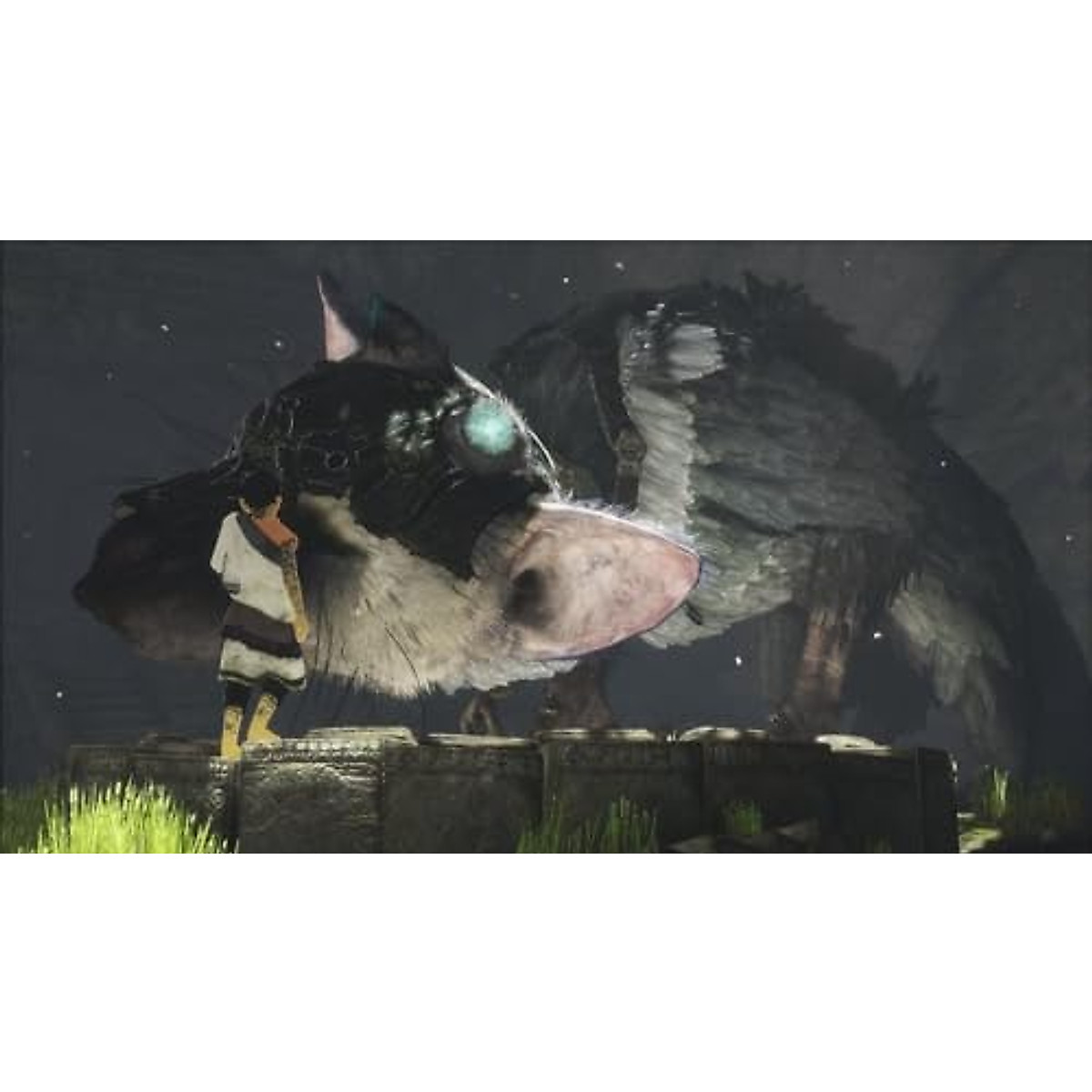 The Last Guardian - PlayStation 4