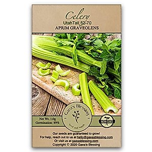 Gaea's Blessing Seeds - Celery Seeds - Tall Utah 52-70 Heirloom Non-GMO with Easy to Follow Instructions 89% Germination Rate Net Wt. 1.25g
