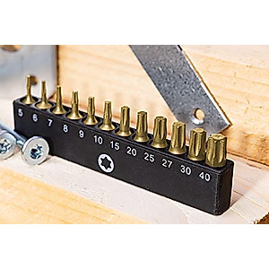 NordWolf 12-Piece Torx Bit Set, Titanium Nitride Coated 6 Point Screwdriver Star Bits Made From S2 Alloy Steel, Sizes T5 to T40