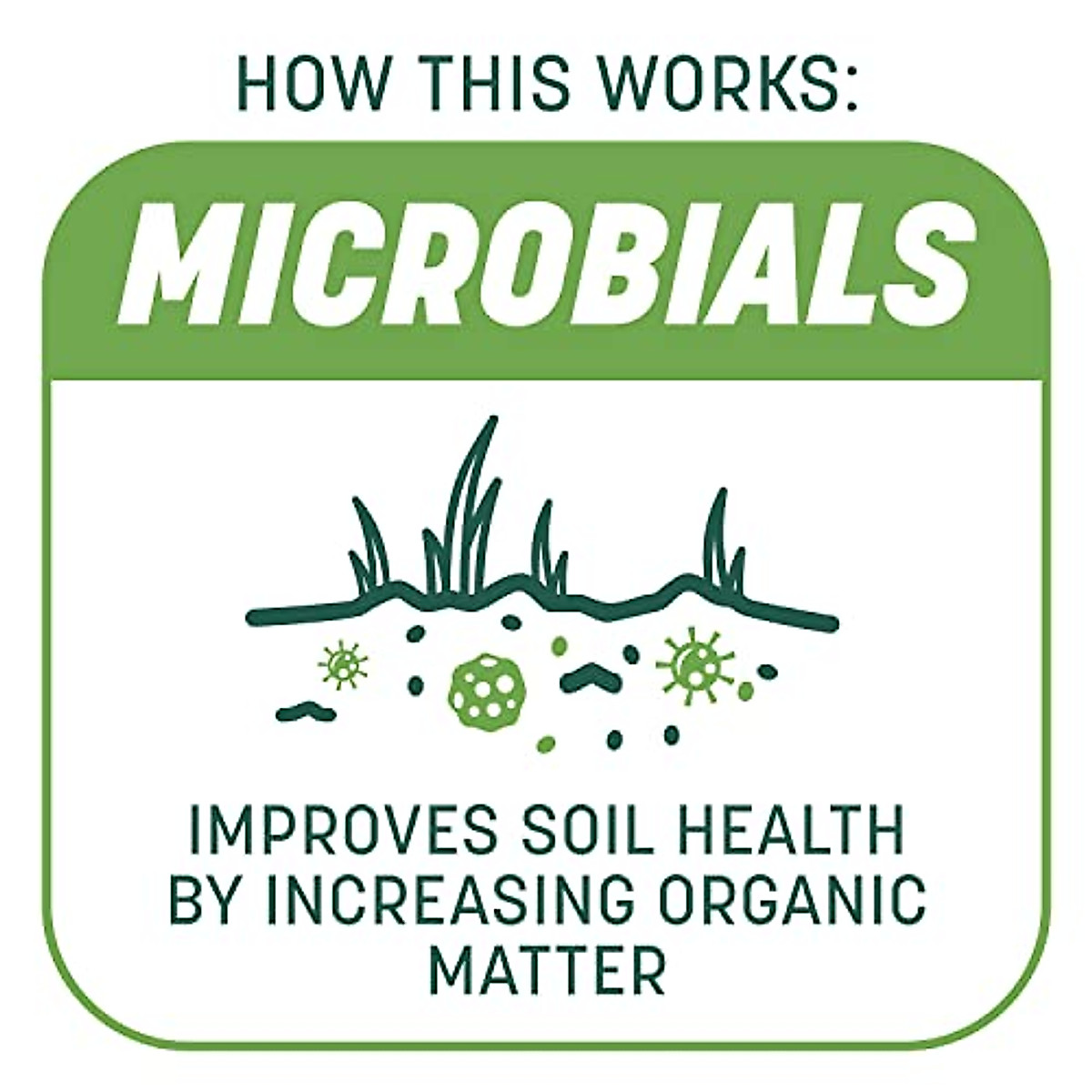 Pennington Smart Patch Tall Fescue Mix 10 lb