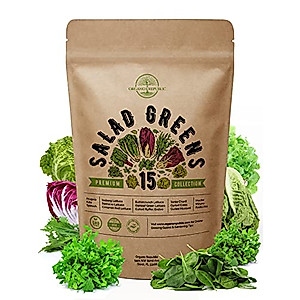 15 Lettuce & Salad Greens Seeds Variety Pack 7500+ Non-GMO Heirloom Lettuce Seeds for Planting Indoors & Outdoors Garden, Hydroponics, Aerogarden - Arugula, Kale, Spinach, Swiss Chard, Lettuce & More
