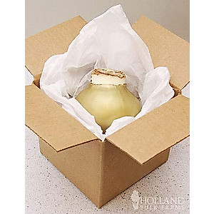 Gold Base Waxed Amaryllis White Intokazi Flower Bulb with Stand, No Water Needed