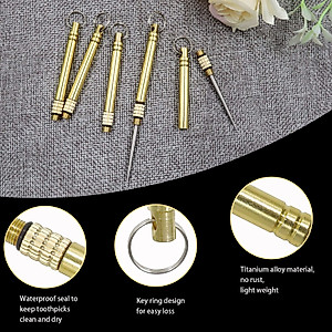 Modixun 10pcs Portable Titanium Toothpicks, Pocket Travel Toothpicks, Reusable Toothpicks,  Metal Toothpick Holder with Key Ring, Fruit Sticks for Outdoor Picnic