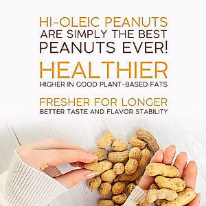 Pasokin Keto Bite Peanut Butter – Healthy Snacks with Zero Sugar Added I Low Carb Gluten-Free, Vegan, Plant-Based Protein, Dairy-Free Energy Bites – Keto Snacks (Peanut Butter)