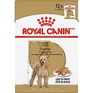 Royal Canin Breed Health Nutrition Poodle Loaf in Gravy Pouch Dog Food, 3 oz Pouch (Pack of 12), 722985