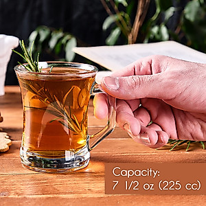 Glass Coffee Mugs for Hot Beverages with Handle, 7 ½ Ounce Hot or Cold Drinks, Glass Tea Cup, Turkish Tea Glasses, Set of 6,