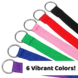 Downtown Pet Supply - 6ft Dog Kennel Slip Lead Dog Leash - Veterinarian, Dog Grooming, Daycare & Animal Rescue Dog Supplies - One Size Leads for Dogs Bulk - 1" Thick 6 Pack