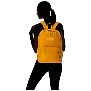 JanSport(ジャンスポーツ) Women Backpack, 04V