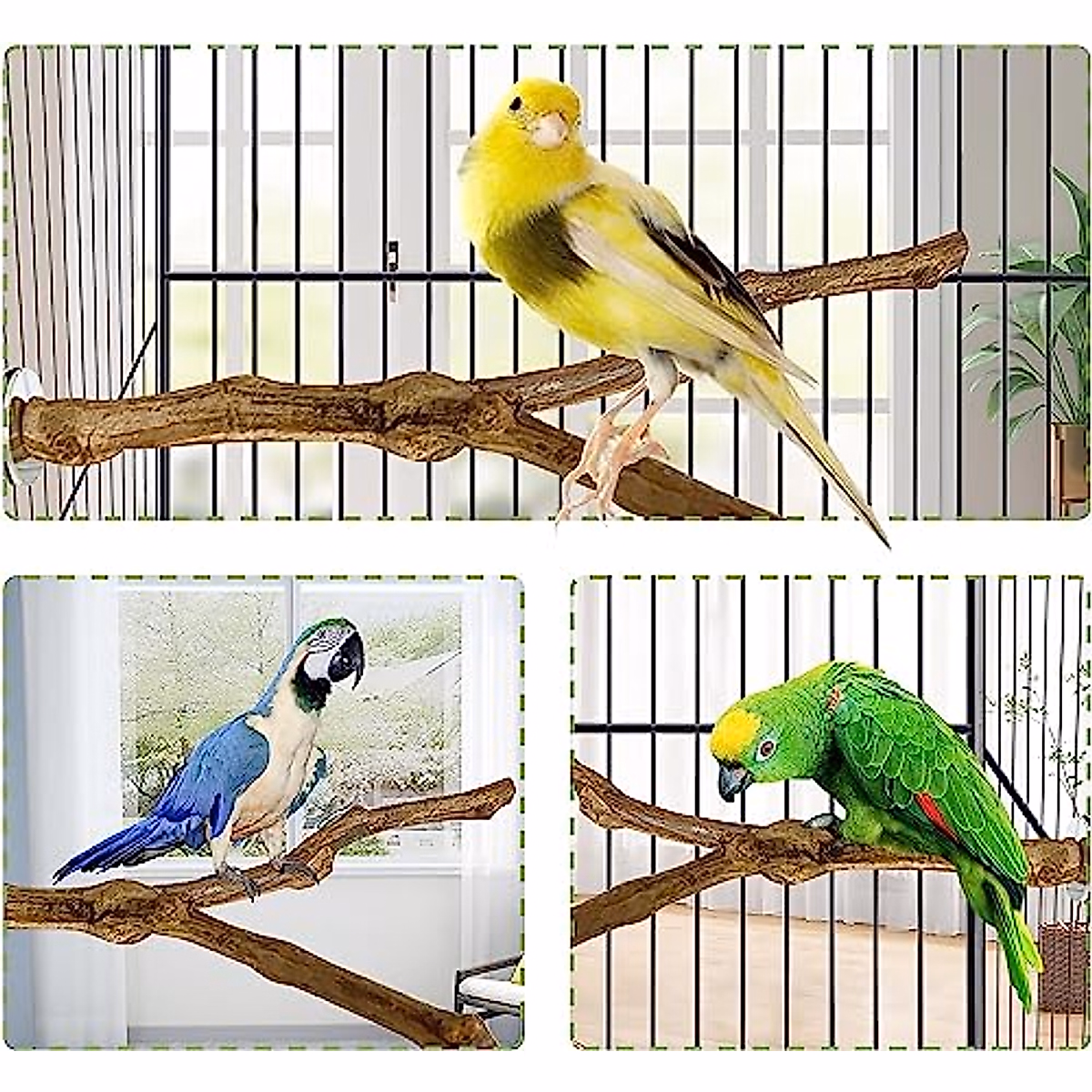 kathson Natural Parrot Perch Bird Stand Pole Wild Grape Stick Paw Grinding Fork Parakeet Climbing Standing Branches Toy Chewable Cage Accessories for Small Budgies Cockatiels Lovebirds 4PCS