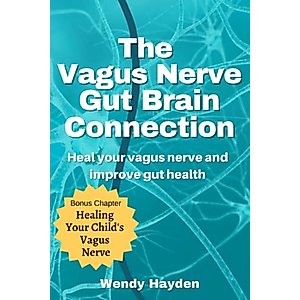 The Vagus Nerve Gut Brain Connection: Heal Your Vagus Nerve and Improve Gut Health