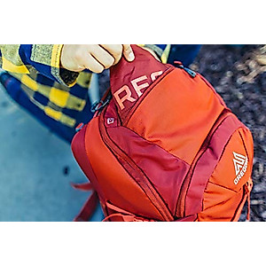 Gregory Men's Backpack, Orange (Ferrous Orange), One Size