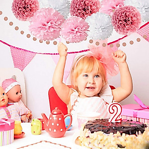 OuMuaMua Pink Rose Gold Birthday Party Decorations Set, Rose Gold Glittery Happy Birthday banner, Tissue Paper Pom, Circle Dots Garland and Tassel Garland for Birthday Party Decorations