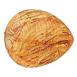Hanging Fake Wasp Nest Wasp Nest Decoy Natural Wasp Friendly Hornets Nest Lantern for Garden Yard Outdoor