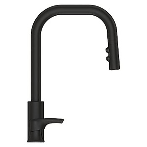 Pfister Zanna Kitchen Faucet with Pull Down Sprayer and Soap Dispenser, Single Handle, High Arc, Matte Black Finish, F5297ZNRB