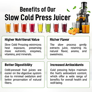 Zulay Fruit Press Machine - Masticating Juicer Machine with High Yield, Quiet Motor, & Reverse Function - Cold Press & Carrot Juicer with Wide Chute - Slow Juicer Machines for Fruits & Vegetables