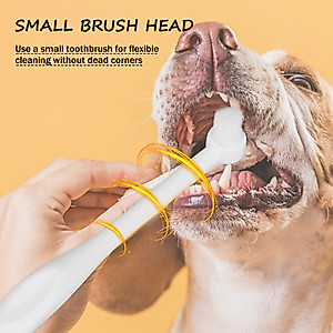 Xthrotsenk 3 Pack Kitten Toothbrush Cat Toothbrush Nano Dog Toothbrush Small Breed Toothbrush for Dogs Puppy Dog Teeth Brush Pet Tooth Brush Soft Nano Bristles Dental Care Toothbrushes