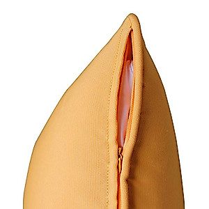 Vanteriam 2 Pack Decorative Outdoor Solid Waterproof Throw Pillow Cover with Piping, Accent Pillow case for Outdoor Patio Furniture Set, Square 18''x18'' Goldenrod