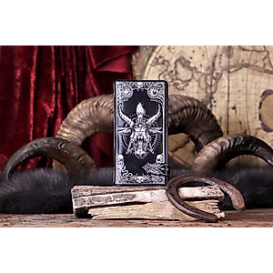 Nemesis Now Women's Modern, Black, 18.5cm