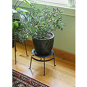 Achla Designs FB-30 Argyle Wrought Iron Plant Stand, 8-inch H, Graphite