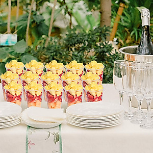 Turbo Bee 300 Pack 9oz Clear Plastic Cups，Disposable Mouthwash Cups,9 Ounce Cups-Party Cups Ideal for Whiskey, Drinking Tasting, Food Samples