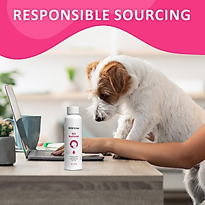 ROXXAM Dog Mouthwash: Advanced Dental Care Water Additive for Dogs | Keep Dog Breath Fresh and Teeth Clean | Supports Gum Health | Eliminates Bad Breath, Whitens Teeth, Prevents Cavities