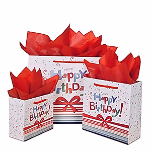 SHIPKEY 12 Pack Birthday Gift Bags Assortment with Tissue Paper and Birthday Cards | Colorful Gift Bags for Birthday Party, Newborns, Kids, Men/Women