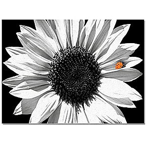 Aomike Indoor Area Rug Doormat- Sunflower in Black and White Ladybug and Flower Contemporary Rug for Living Room/Bedroom/Front Porch/Hallway/Farmhouse, 2'7"x5'