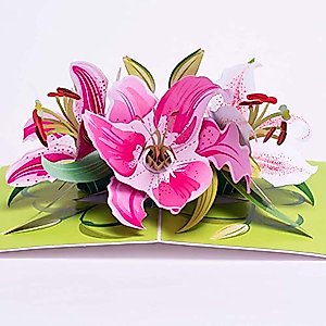 TRUANCE Pop Up Greeting Card Lily Flower- 3D Cards For Birthday, Anniversary, Mothers Day, Thank You Cards, Card for Mom, Congratulation Card, Love Card, All Occasion