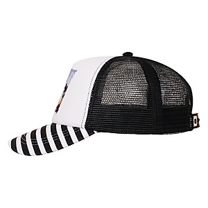 Roxy Women's Truckin Trucker HAT, Anthracite Basic Horizontal Exc, One Size