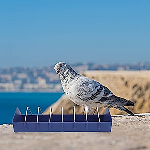 Happyyami Goat Feeder Cattle Feed Trough 2pcs Pigeon Feeder Slot Container Fowl Feeding Dish Bird Storage Trough Food Dispenser Pigeon Cage Supplies 40CM Blue Horse Water Buckets Small Container