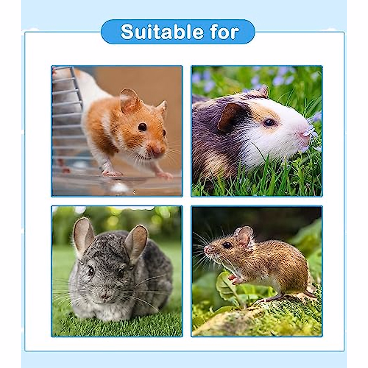 MUYG Wooden Hamster Foraging Toys,Enrichment Foraging Toy Guinea Pig Interactive Hide Treats Puzzle Snuffle Game Small Animal Chew Toys for Chinchilla Rat Bunny Hedgehog Gerbils