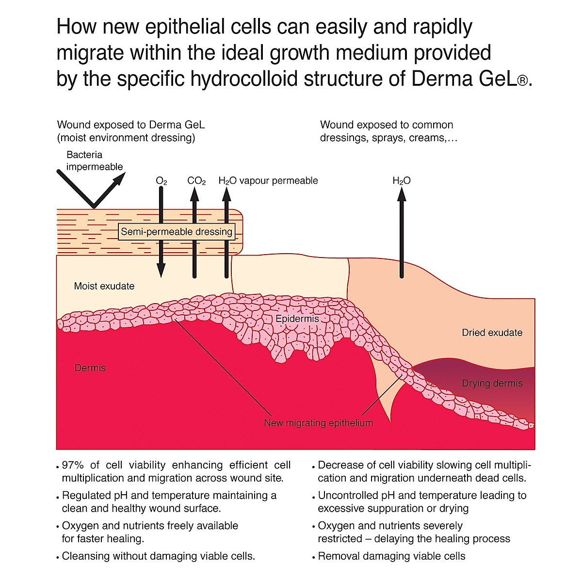 Veterinus Derma GeL® - Natural Spray 50mL - 1.7 fl.oz. (Twin-Pack of 2 x 50mL) - CAT Safe Non Toxic Contains: Freeze Dried Lavender extr. (no Essential Oil)