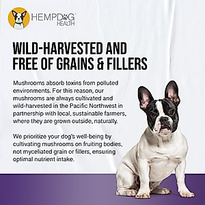 MycoDog Clarity Mushroom Extract & Adaptogen Tincture for Canines - Mushroom & Ashwagandha Supplements for Nervous, Mental, & Emotional Support - Reishi Mushroom, Cordyceps, & Lions Mane Supplement