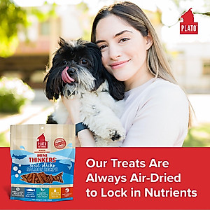 PLATO Mini Thinkers Salmon Recipe 3oz, Natural (850002221312)