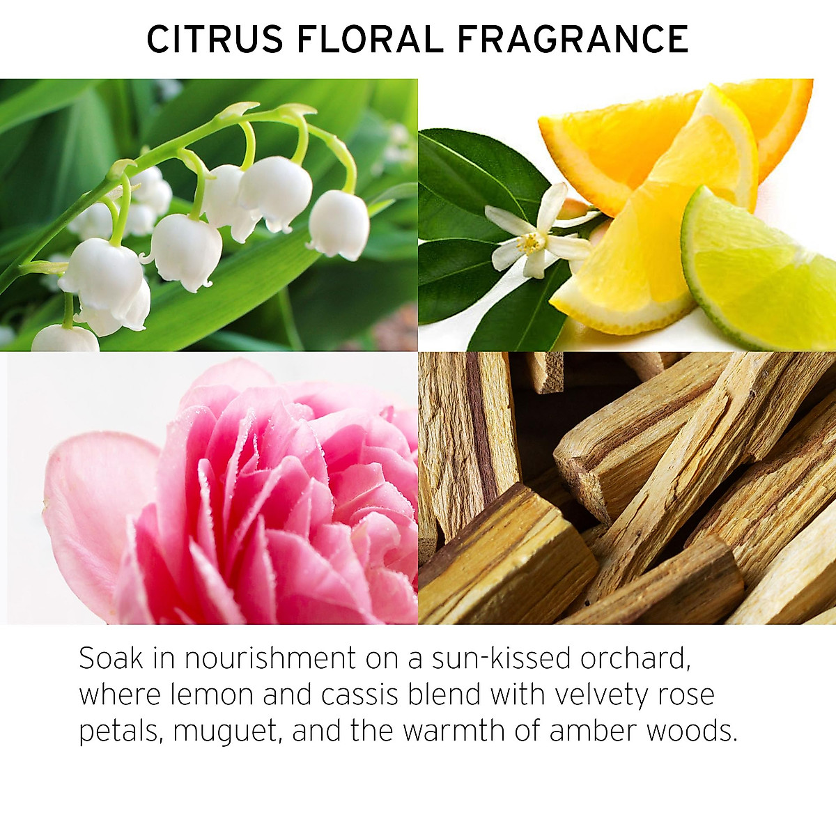 Fekkai Technician Color Conditioner - 8.5 oz - Extends Vibrancy of Color-Treated Hair - Free of Sulfates, Parabens, Phthalates - Vegan, Cruelty-Free