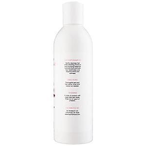 Silk Hair by Andrea D. Soft & Shine Shampoo For Women, Men, And All Hair Types, Boost Protection From Damaged Hair And Improves Shine And Softness, Sulfate Free 8OZ