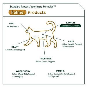Standard Process - Feline Renal Support - Kidney and Urinary Health for Cats - 90 Tablets