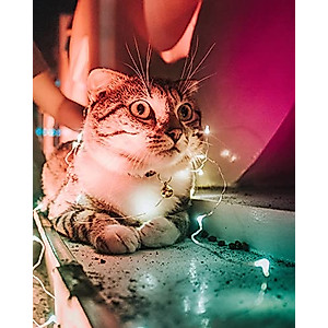 Gardenvy Fairy Lights Plug in, 66ft 200 Mini LEDs String Lights with RF Remote Control, UL Adaptor Included, USB Starry Lights for Christmas Garden Party Indoor Decor, Silver Wire, Cool White