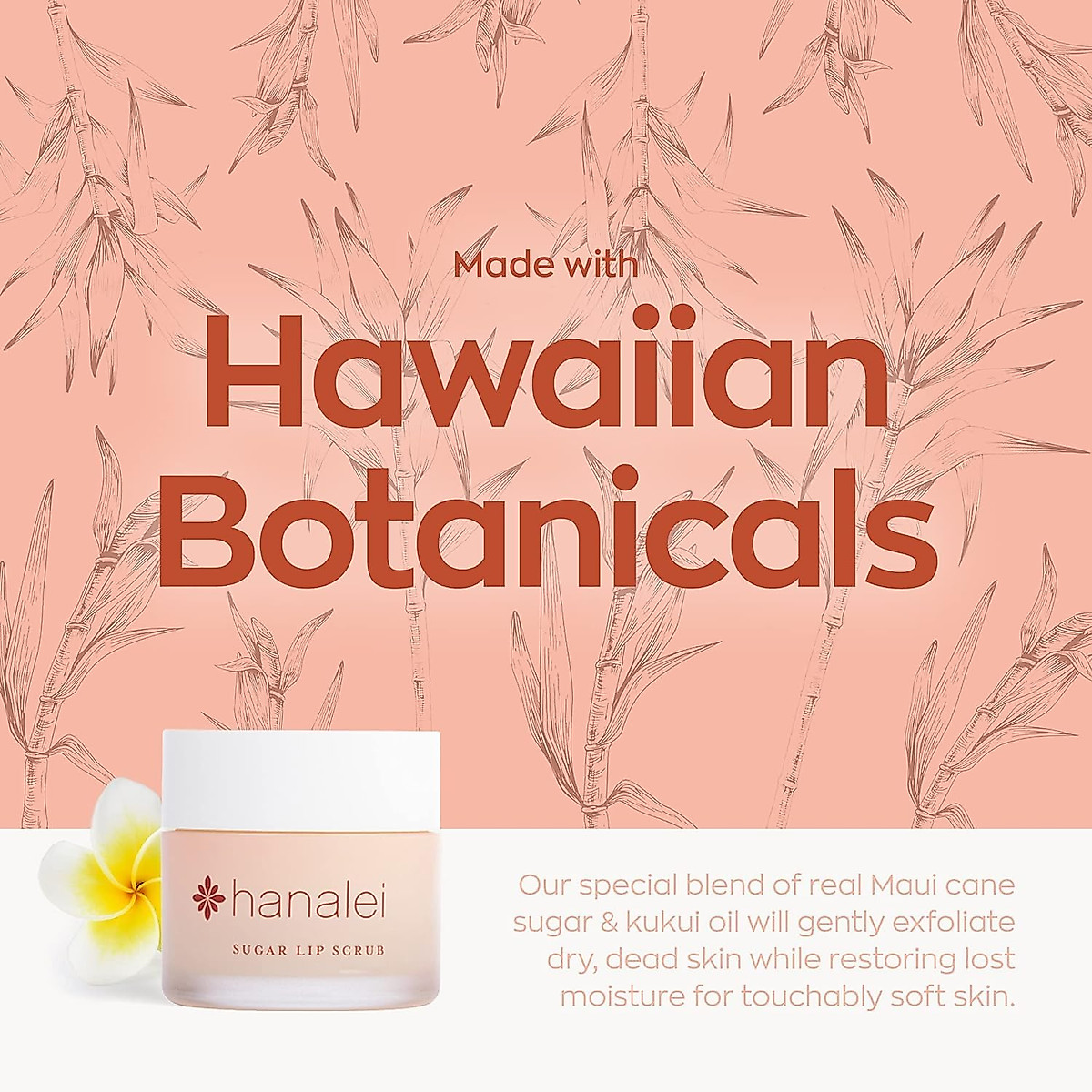 Vegan and Cruelty-Free Sugar Lip Scrub Exfoliator by Hanalei – Made with Hawaiian Cane Sugar, Kukui Oil, and Shea Butter to Exfoliate, Smooth, and Brighten Lips Made in the USA (22 g)