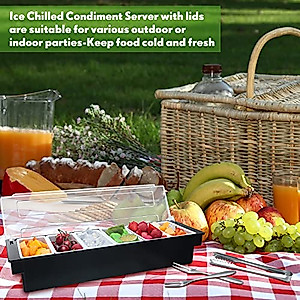 2 Pack Ice Cooled Garnish Tray Deck Bar Garnish Caddy Condiment Containers with Lids and Removable Chilled Condiment Server with 6 Tongs and 6 Fruit Forks for Home Work or Restaurant
