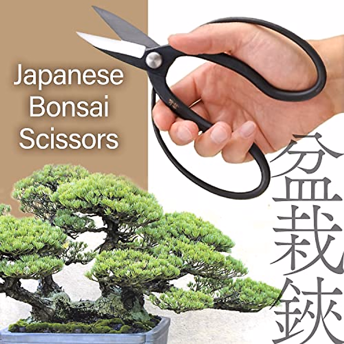 Japanese Suiryu Bonsai Scissors - Traditional Hasami Pruning Shears, Japanese Bonsai Garden Tools, Made in Japan (7.87inch)