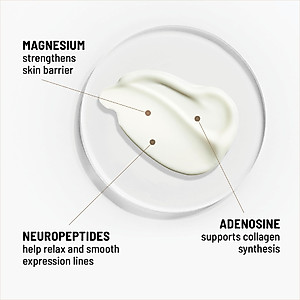 Dr. Brandt Needles No More Wrinkle Smoothing Cream - Smooths Expression Lines, Firms & Protects the Skin - 0.5 oz