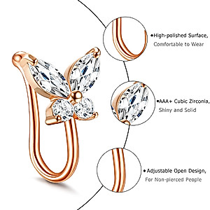 JOERICA 12Pcs Fake Nose Ring for Women Nose Cuffs Non Piercing Jewelry CZ Opal Butterfly Moon Heart Flower Clip On Nose Ring Adjustable Faux Nose Rings Set