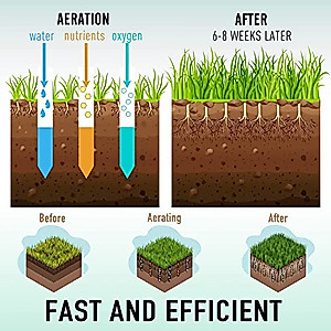 Colwelt Spike Lawn Aerator, Manual Aerator for Compacted Soils and Lawns, Non-Slip T-Handle Spike Aeration with Four 3.5-Inch Solid Steel Spikes, 38-Inch